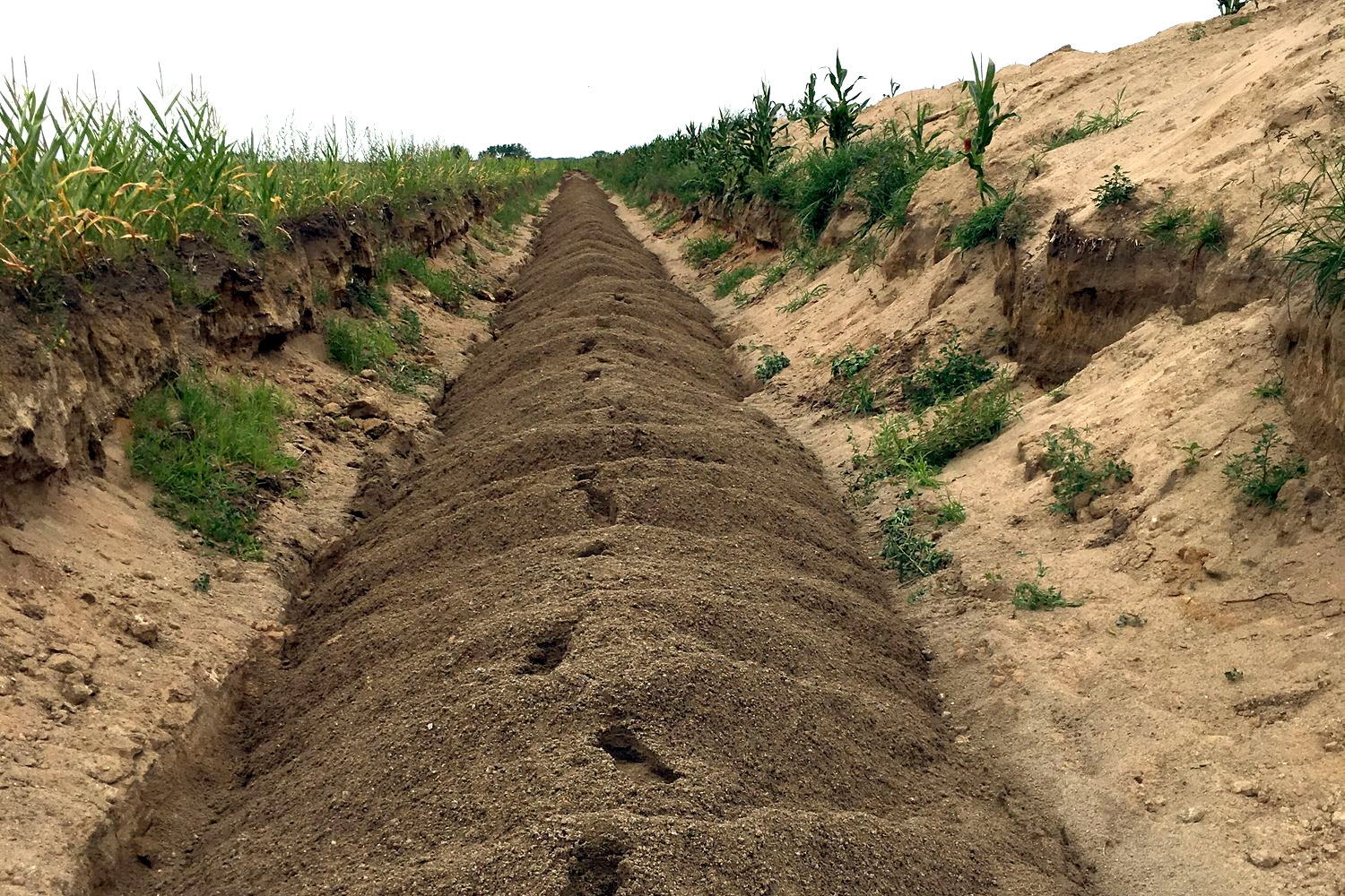 Municipal Water Supply Installation – DeWind One Pass Trenching
