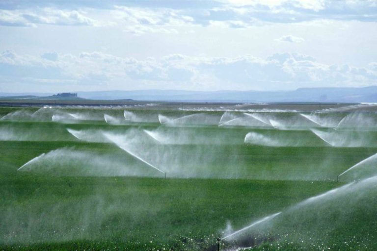 Municipal Water Supply Installation – DeWind One Pass Trenching